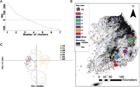 Discriminant Analysis Of Principal Components DAPC Based Clustering Download Scientific