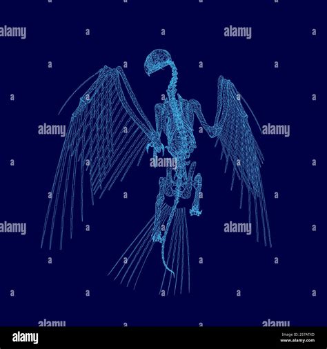 Blue Image Of A Skeleton Bird Is Displayed The Bird Is Positioned In The Center Of The Image