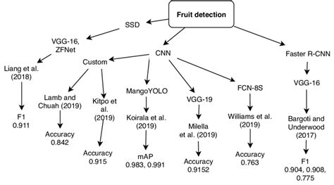 Fruit Detection Representation Model Download Scientific Diagram