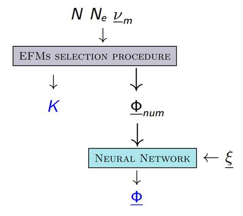 Hybrid Modeling Using An Elementary Flux Mode Reduction Procedure And