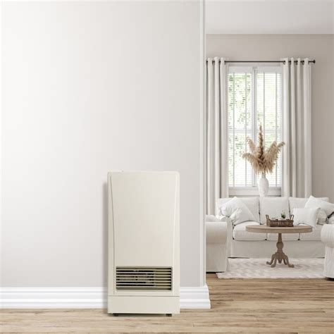 Rinnai 11000 Btu Wall Mount Indoor Liquid Propane Convection Heater In