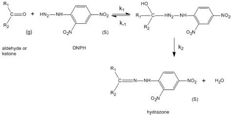 Bidirectional Derivatization Reaction Of Carbonyls With Dnph