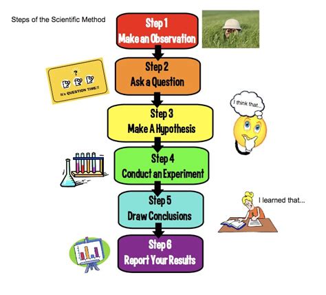 Components Of The Scientific Method