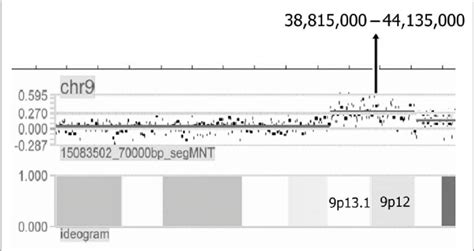 High Resolution Comparative Genomic Hybridization Hr Cgh Analysis Of