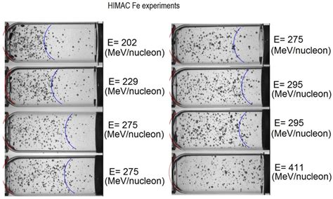 Fe Experiments At Himac Bubble Front Not Present And End Of Range Is