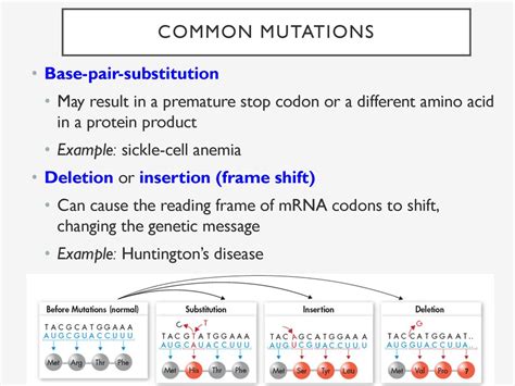 From Dna To Protein Chapter Ppt Download From Dna To Protein Chapter Ppt Download