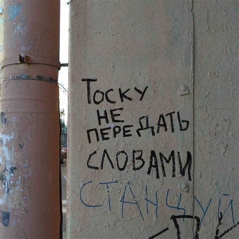 Прикольные надписи на стенах 88 фото