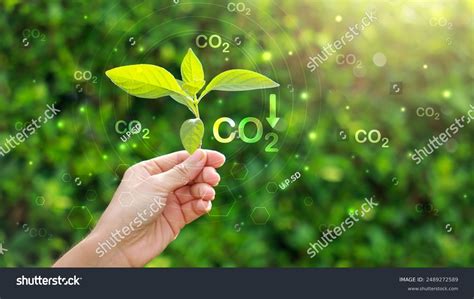 녹색 배경에 아이콘으로 Co2 또는 탄소 스톡 사진 2489272589 Shutterstock