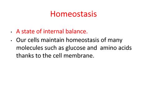 SOLUTION Cell Membrane Structure Studypool