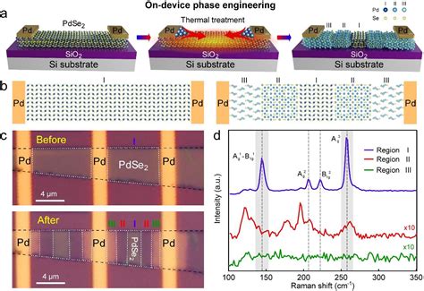 Nju Research Group Realized Material Synthesis Lab On The Device
