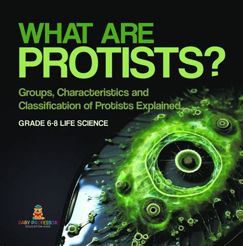 What Are Protists Groups Characteristics And Classification Of Protists Explained Grade 6 8