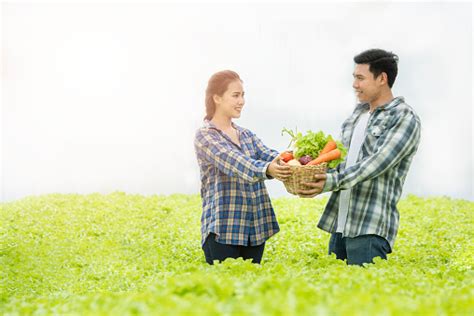 아시아 남자 농부와 아시아 여자 정원사 손 보유 바구니 의 다채로운 색 야채 의 유기 협력 중소 기업 기업가 와 유기농 야채 농장 과 건강 한 음식 개념 2명에 대한 스톡