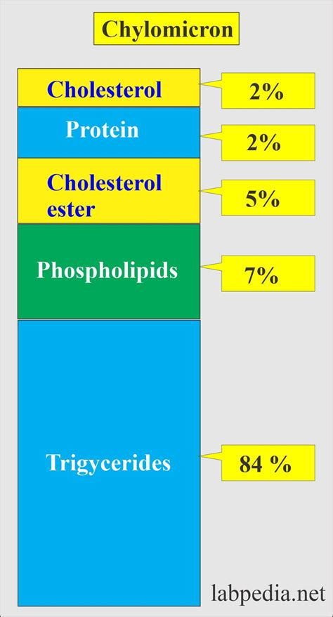 Lipoprotein Part 4 Chylomicron
