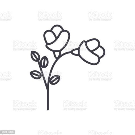 Freesia 라인 아이콘 개념입니다 Freesia 평면 벡터 기호 상징 그림입니다 꽃 나무에 대한 스톡 벡터 아트 및 기타 이미지 꽃 나무 꽃 꽃의 구조 꽃 식물