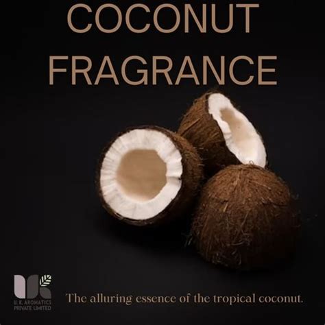 Coconut Shampoo Perfume Type Fragrances At Best Price In Boisar U