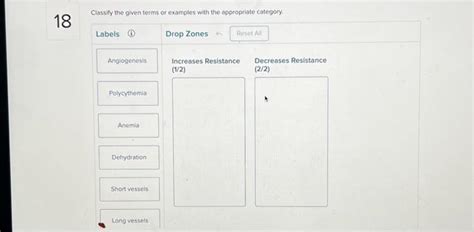 Solved Classify The Given Terms Or Examples With The Chegg