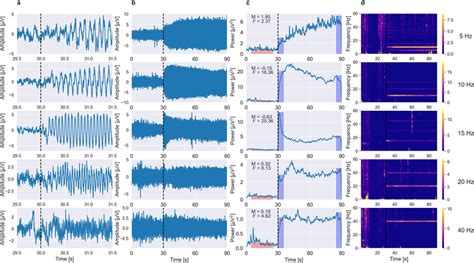 the evolution of ssvep signals for five visual stimulation frequencies download scientific