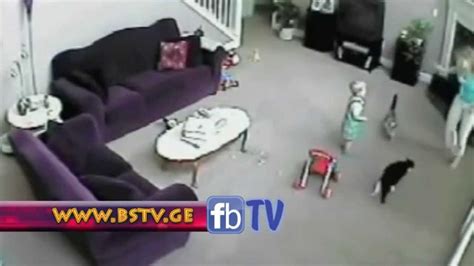 კატები ბავშვებს იცავენ Youtube