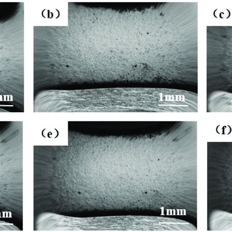 In Situ Sem Reveals Microscopic Features Of The Fracture Developed