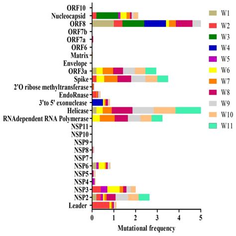 Mutational Frequencies Of Sars Cov 2 Genome During The Beginning Months