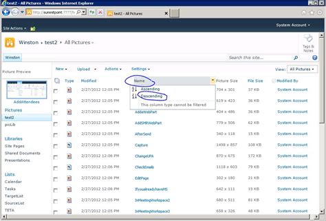 About Sorting Problem On Picture Library In Sharepoint 2010 After