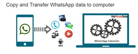 Top 5 Whatsapp Extractor You Should Try In 2024