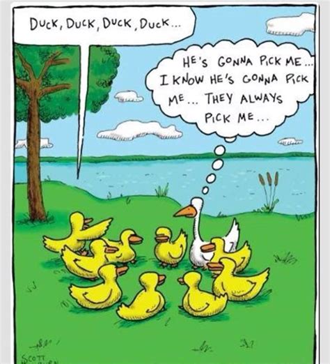 Funny Cartoons Jokes Clean Humor Duck Humor Humorous