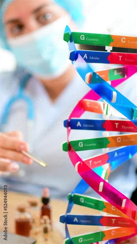 Scientist examining DNA model in laboratory Stock 비디오 Adobe Stock