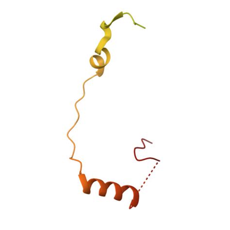 Rcsb Pdb 8g60 Mrna Decoding In Human Is Kinetically And Structurally Distinct From Bacteria
