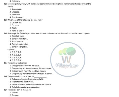 Morphology Of Flowering Plants Class 11 Worksheet With Answers