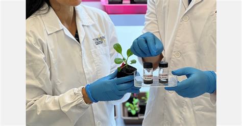 Researchers Explore Sensor Multiplexing For Real Time Decoding Of