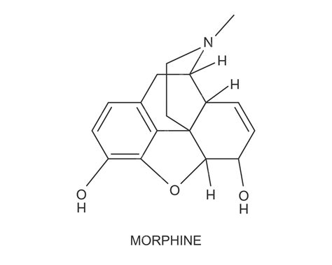 Premium Vector Morphine Chemical Molecular Structure Icon Medical Opioid Drug Formula