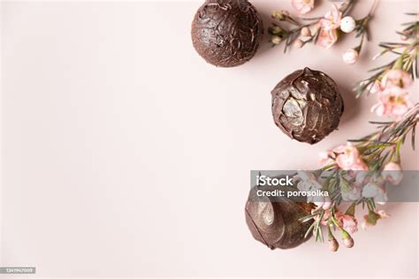 분홍색 꽃으로 장식 된 분홍색 배경에 초콜릿 송로 버섯 맨 위 보기입니다 공간을 복사합니다 디자인 장소 미니멀리즘 2월에 대한