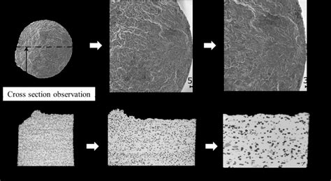 The Fracture Surface In Axial Tension Compression Fatigue Test Observed Download Scientific
