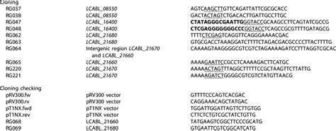 Primers Used In This Study Primer Name Or Purpose Binding Site Gene Or
