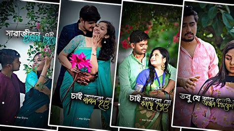 Tumi Amar Jibon Sathi Song Xml File Alight Motion🌿bengali Romantic Song Xml 💝 Love Status Video