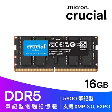 Ddr5 5600 32gb 筆記型記憶體 Pchome 24h購物