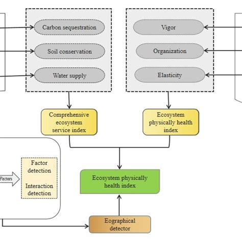 Conceptual Framework For Ecosystem Health Assessmen Download