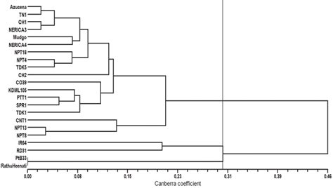 Dendrogram Of 22 Rice Genotypes Based On The Reaction To Six Bph