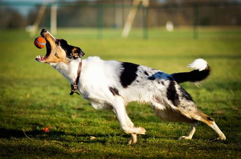 Why Javascript Developers Should Prefer Axios Over Fetch By Sabesan