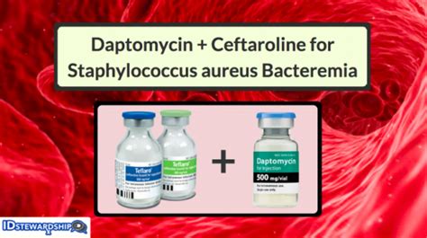 Ceftaroline Teflaro