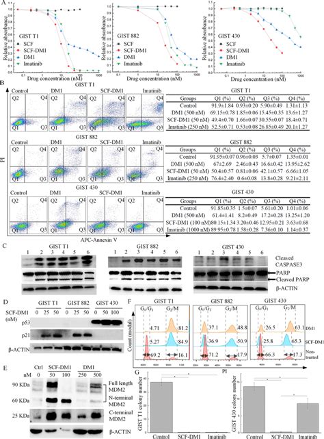 Cytotoxicity Effect Of Scf Dm1 On Gist Cell Lines A Cell Proliferation