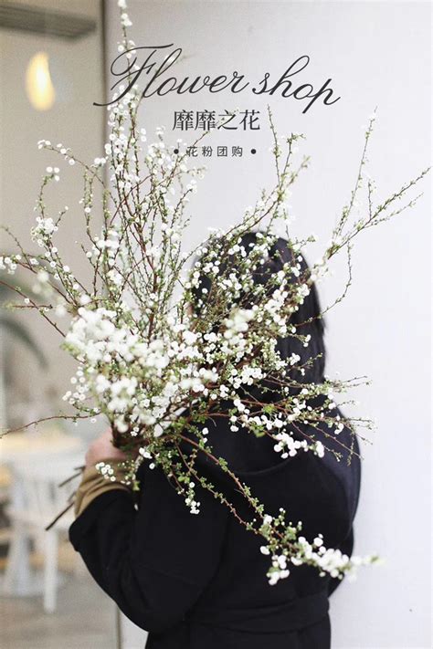 雪柳鲜切花 雪柳花语 伤感说说吧