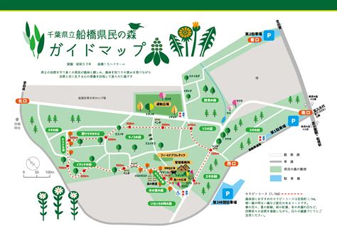 船橋市 船橋県民の森でバーベキューをするならBBQ太郎にお任せBBQ太郎千葉 レンタルバーベキュー