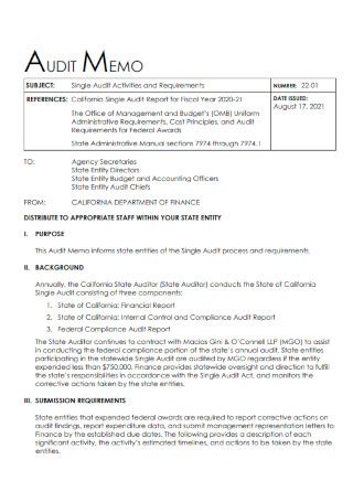 10 Sample Audit Memo In PDF