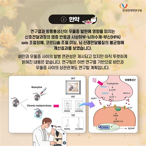 카드뉴스 마음의 감기 우울증 한의학으로 따뜻하게 치료하다