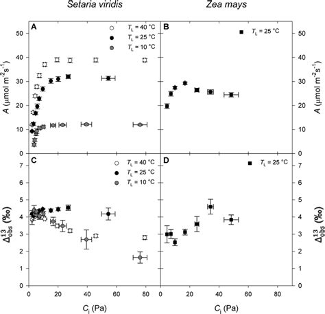 Responses Of A B Photosynthetic Rate A And C D Observed 13 C