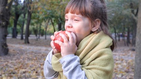 Chewable Tablets Developed And Manufactured By Hermes Pharma