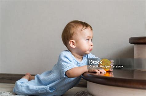 사랑스러운 어린 아이가 바닥에서 즐거운 시간을 보내고 있다 장난감으로 바닥에서 노는 작고 귀여운 아이 6 11 개월에 대한 스톡 사진 및 기타 이미지 Istock