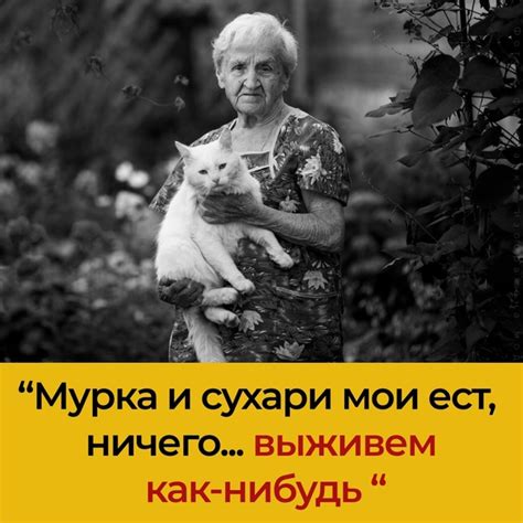 Друзья это действительно стоит внимания Сегодня на конфликтные